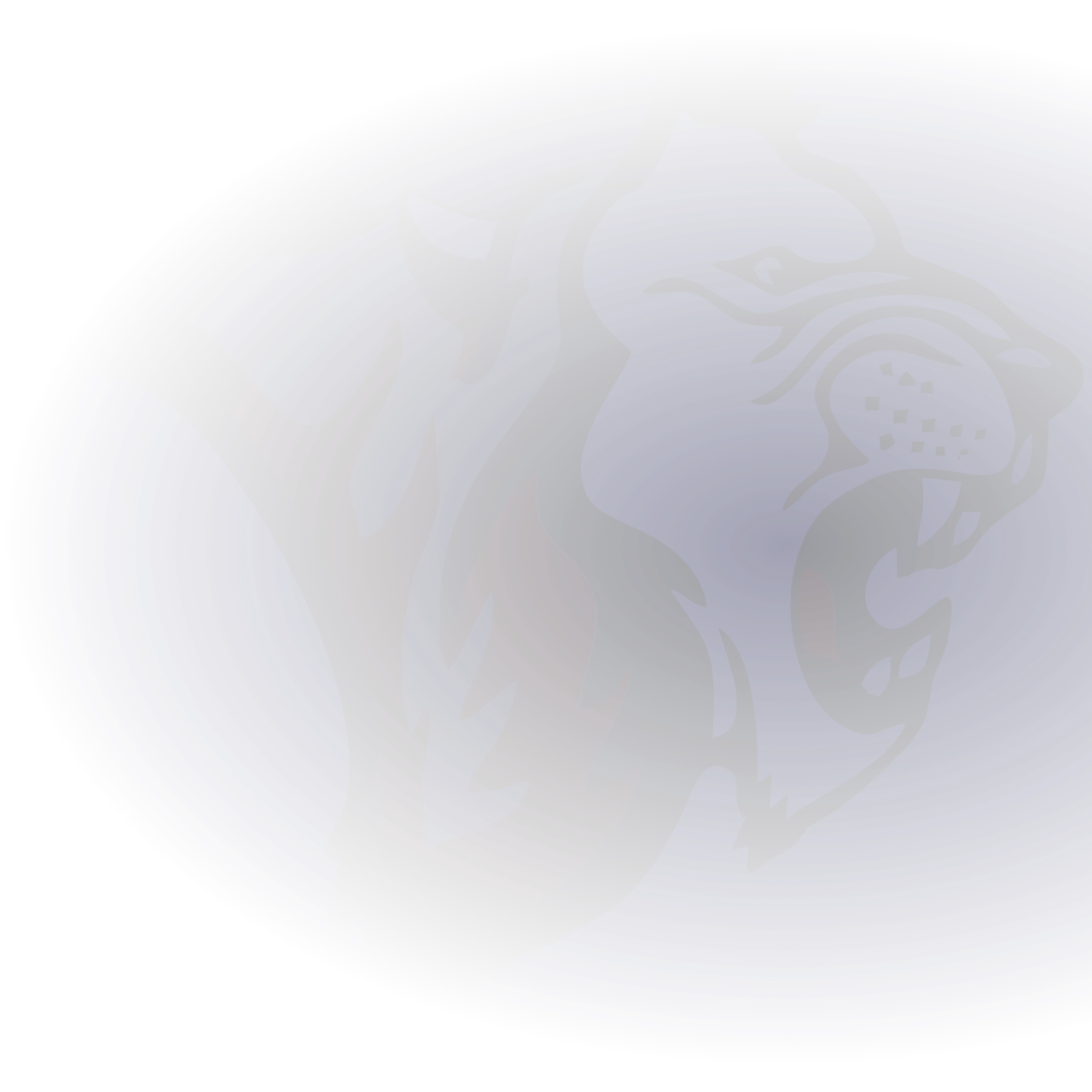 Official AFL Website of the Gold Coast SUNS