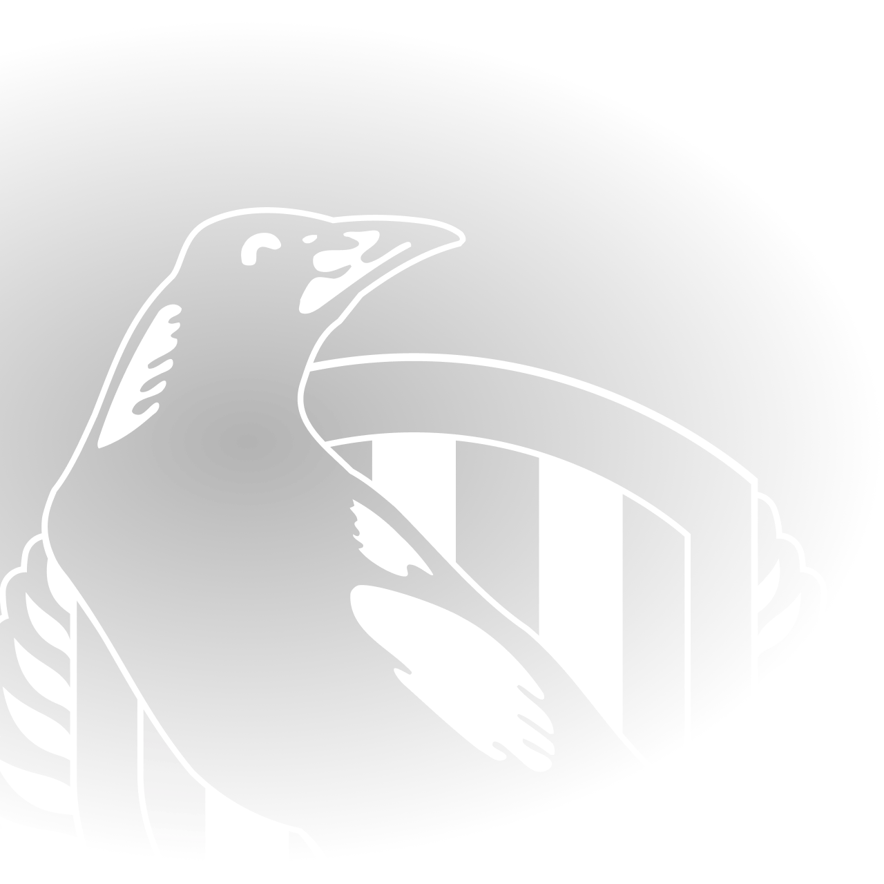 Official AFL Website of the Gold Coast SUNS