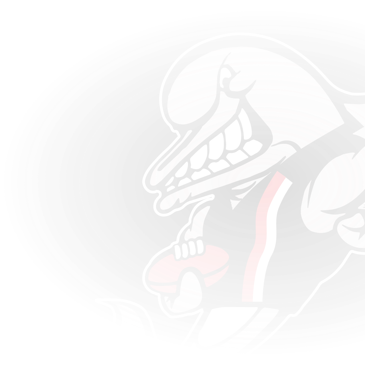 Official AFL Website of the Gold Coast SUNS