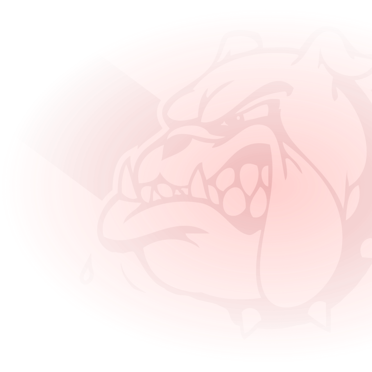 Official AFL Website of the Gold Coast SUNS