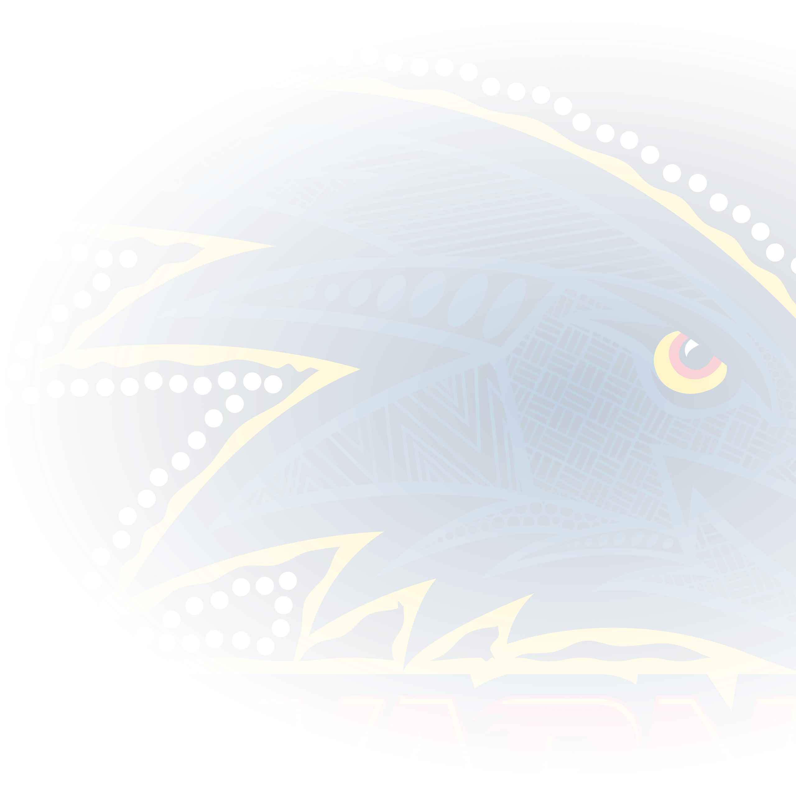 Official AFL Website of the Gold Coast SUNS